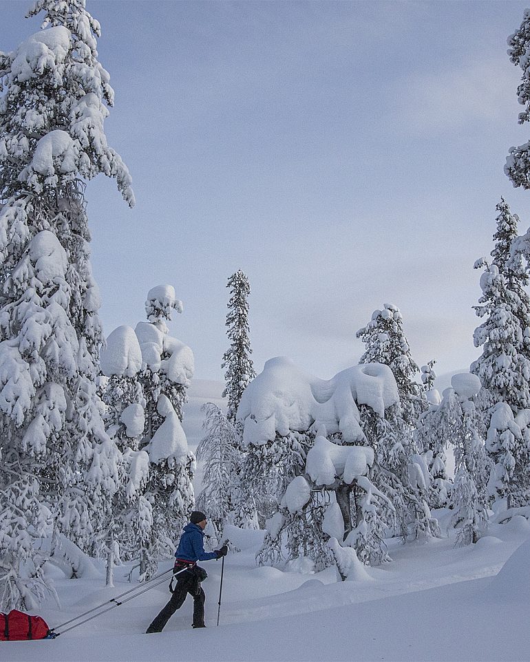 Ski & pulka expedities - Lapland, Ijsland en… | Into the Arctic